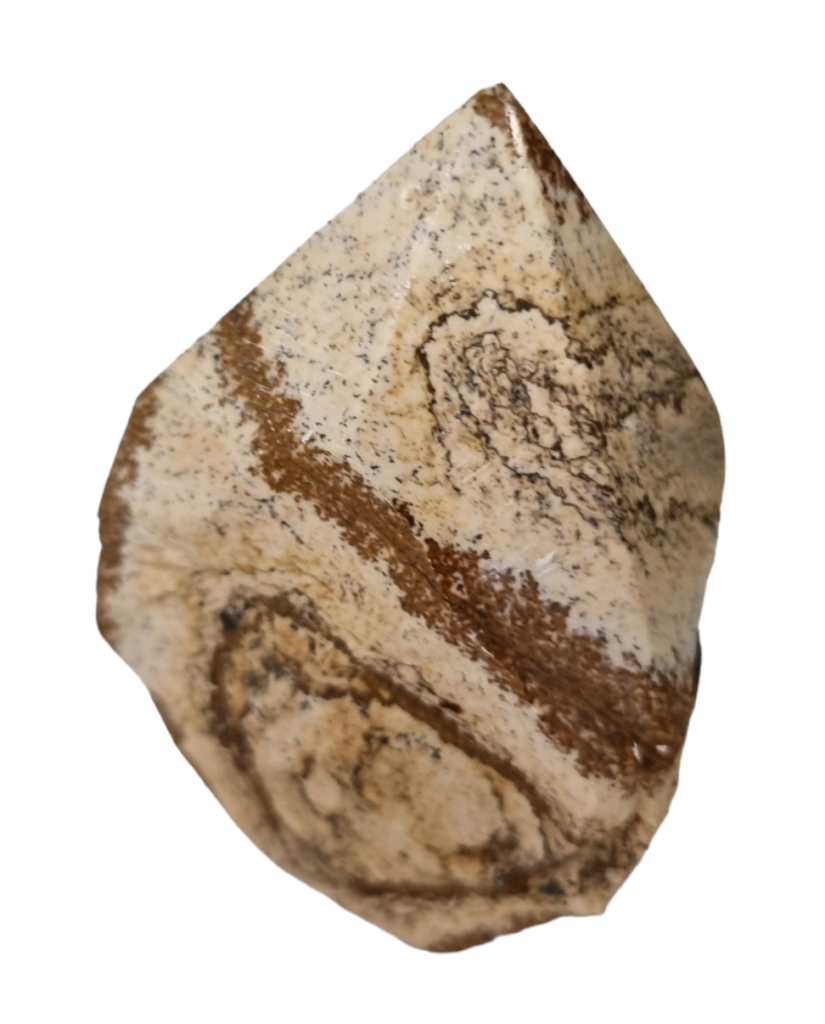 Mocha Stone Point - Optimise Therapies